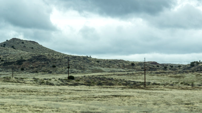 Western Lime – Mike Taylor